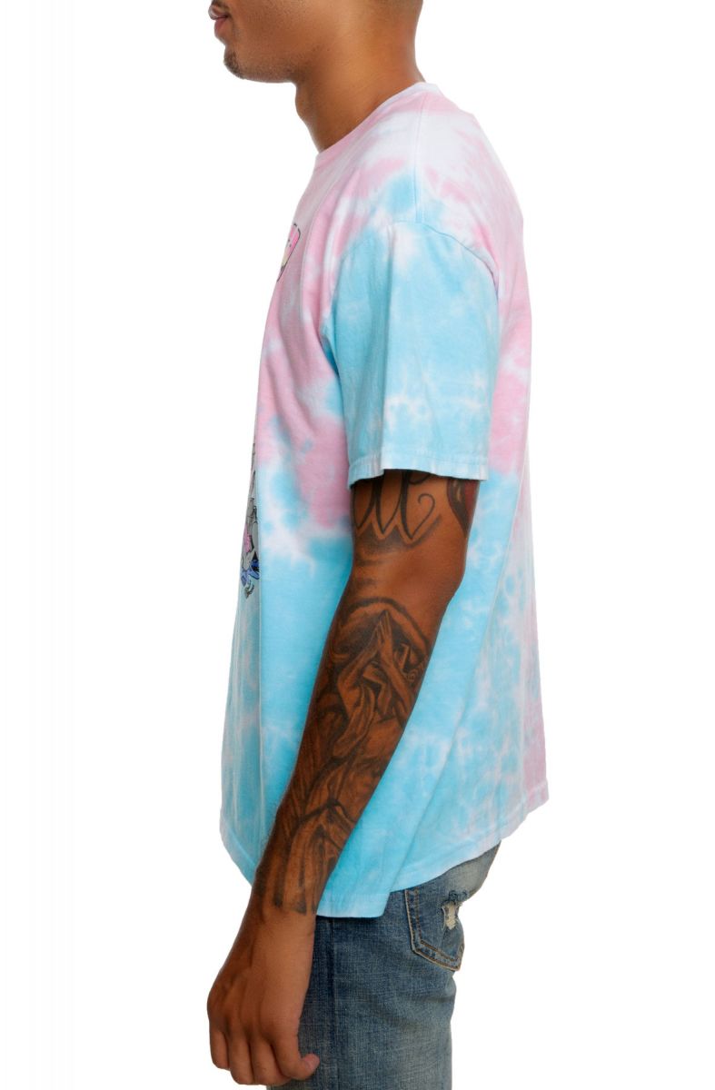 PINK DOLPHIN The Legend of Dolphin Tee in Pink AF1911LDPI - Karmaloop