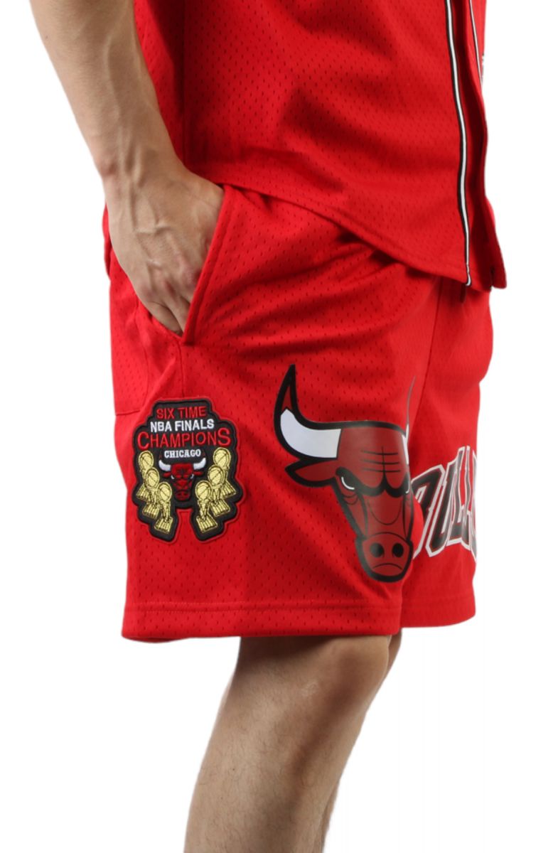 PRO STANDARD Chicago Bulls Logo Pro Team Mesh Shorts BCB353899-RED ...