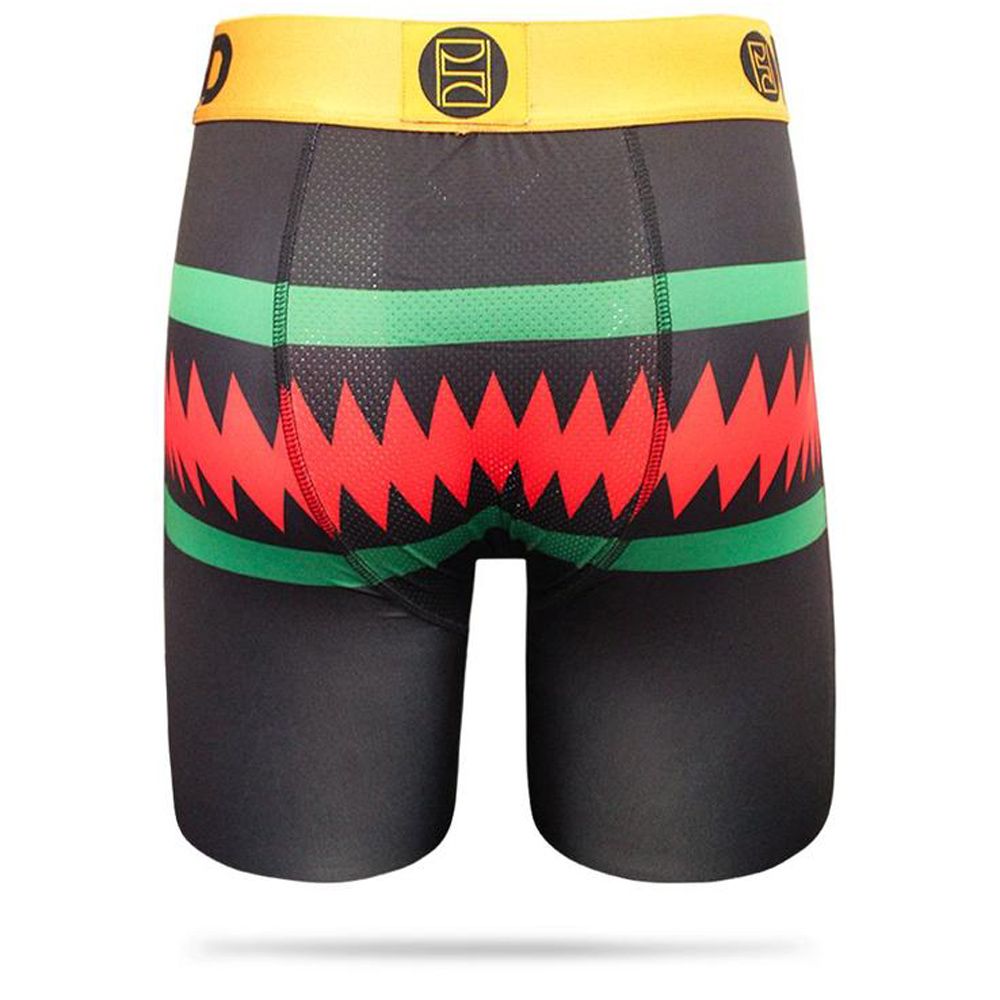 PSD UNDERWEAR Stripes Boxer Briefs E31811026 - Karmaloop