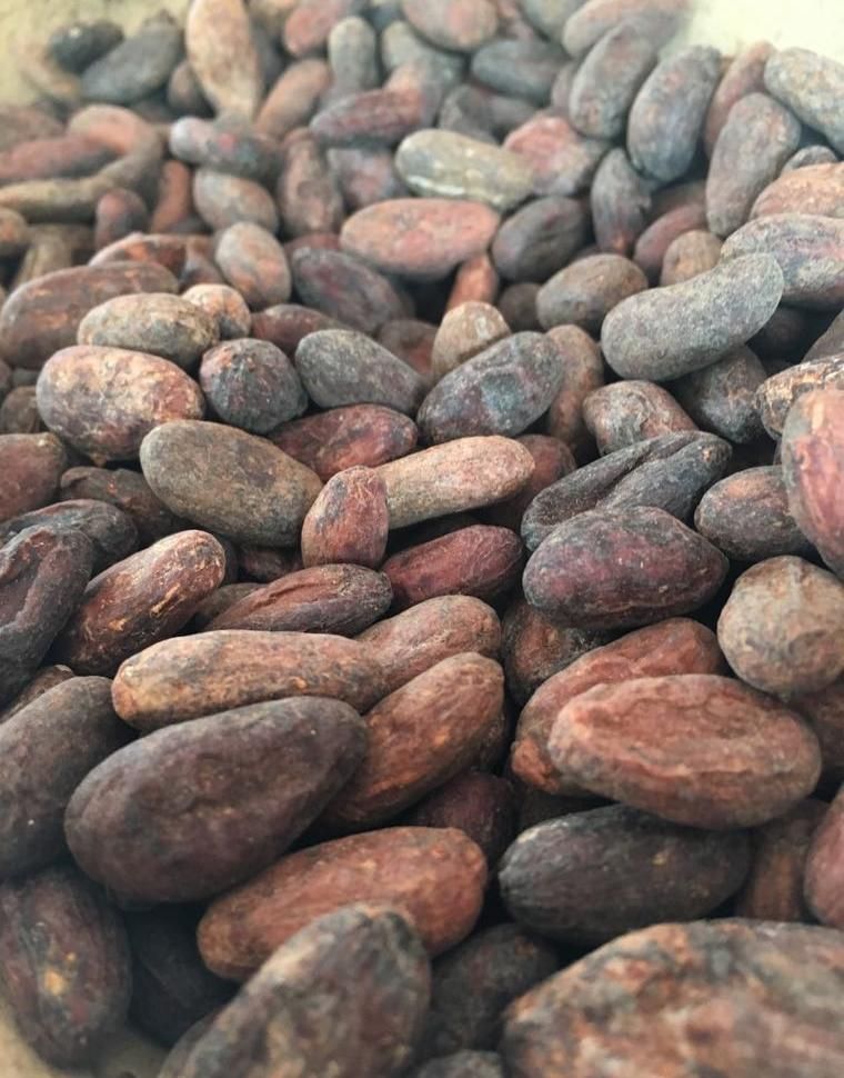 70% Dark Handmade Chocolate (Made with 100% Trinitario Cacao Beans)