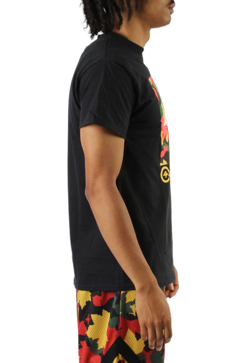LRG OG Maple Leaf Tee L1ZCMSCXX-BL30 - Karmaloop