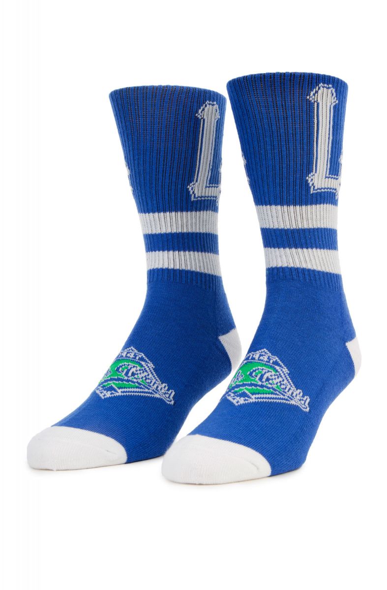 LRG The whole world L socks in Royal SZ156531ROYAL - Karmaloop