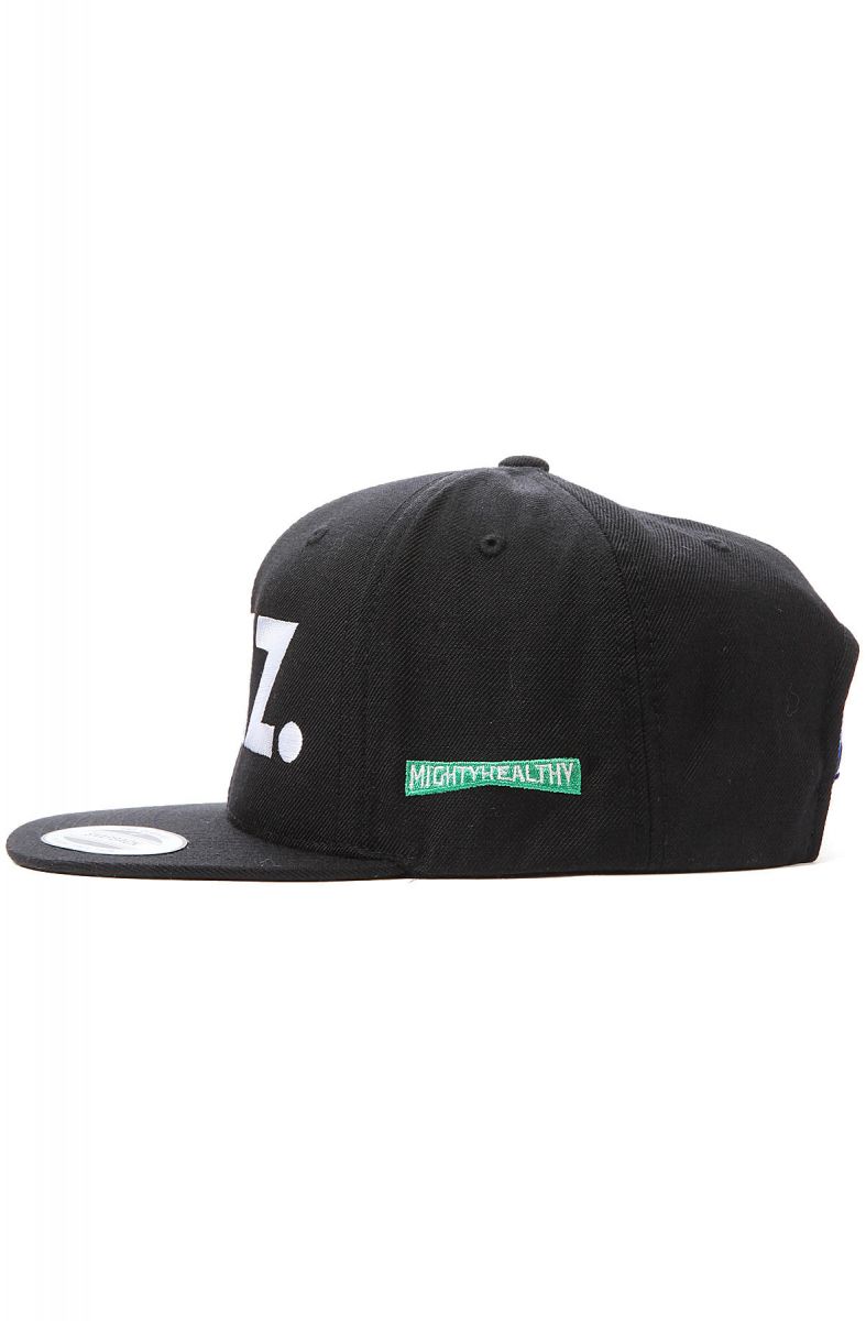 MIGHTY HEALTHY The Steez Snapback Hat in Black MH082-BLK - PLNDR