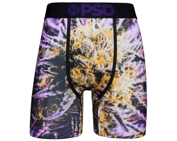 PSD UNDERWEAR Purple Haze Boxer Briefs 422180053 - Karmaloop