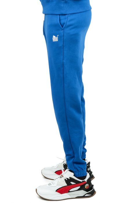 PUMA TMC Everyday Hussle Sweatpants 53368503 - Karmaloop