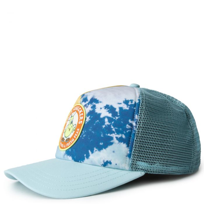 VANS Checkers Curved Bill Trucker Hat VN00066WG5O - Karmaloop